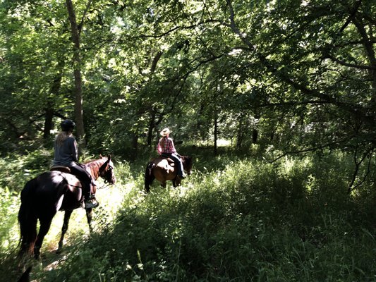 TEXAS TRAIL RIDES - Updated October 2025 - 100 Photos & 119 Reviews ...