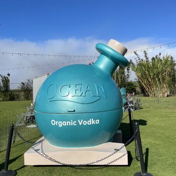 OCEAN ORGANIC VODKA - Updated July 2024 - 1058 Photos & 548 Reviews ...