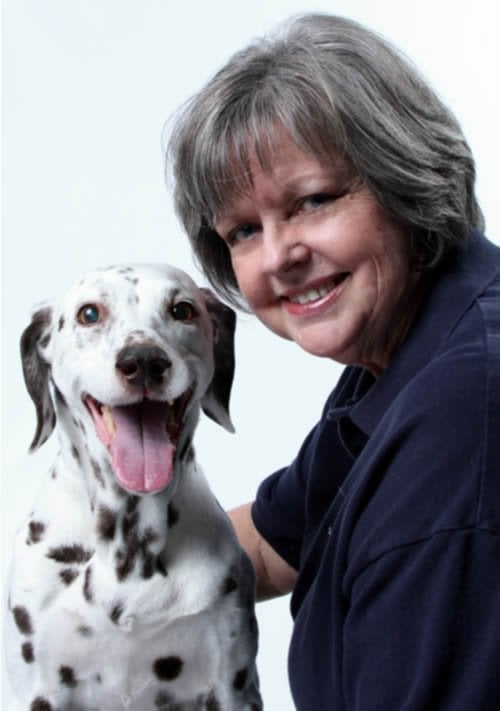 SIT STAY GOOD DOG - Updated April 2025 - 10 Photos & 14 Reviews ...