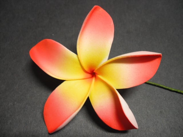 ISLAND STYLE FLOWERS - Updated December 2025 - 143 Photos - Henderson ...