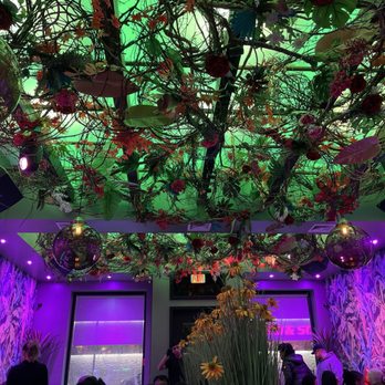 MOJO RVC - Updated May 2025 - 497 Photos & 342 Reviews - 300 Sunrise ...