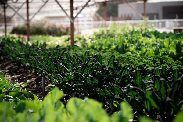 ARIZONA WORM FARM - 31 Photos & 30 Reviews - 8430 S 19th Ave, Phoenix ...