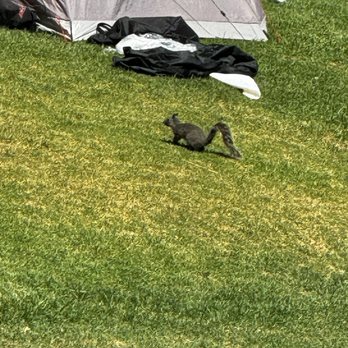 BONELLI BLUFFS RV RESORT & CAMPGROUND - Updated March 2025 - 590 Photos ...