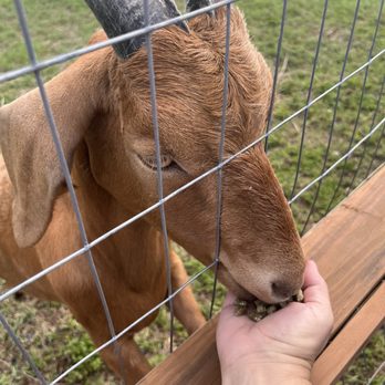 FAT BEET FARM - Updated June 2025 - 292 Photos & 150 Reviews - 13830 W ...