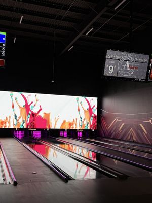 ALBATROSS - Updated January 2026 - 131 Photos & 55 Reviews - 991 US Rte ...