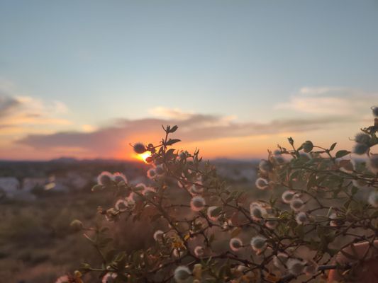 BUFFALO RIDGE PARK - Updated June 2024 - 210 Photos & 23 Reviews ...