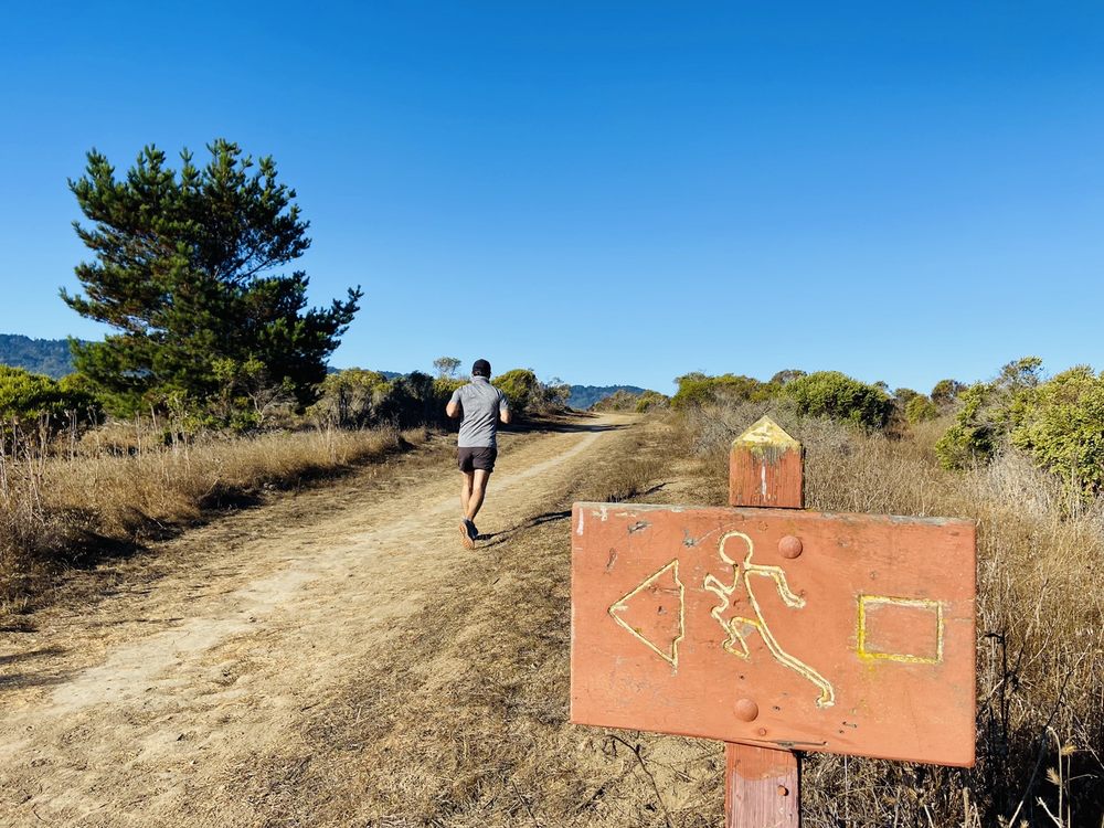 HALLMARK PARK - Parks - 2599 Hallmark Dr, Belmont, CA - Phone Number - Yelp