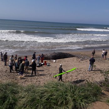 COUNTY LINE BEACH - Updated December 2025 - 99 Photos & 23 Reviews ...