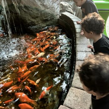 THE GIRLS STRAWBERRY U-PICK - Updated December 2024 - 975 Photos & 239 ...