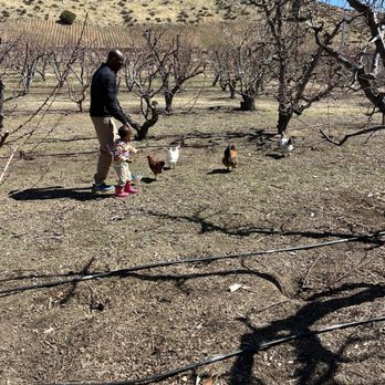 BLOOM RANCH OF ACTON - Updated March 2025 - 113 Photos & 44 Reviews ...