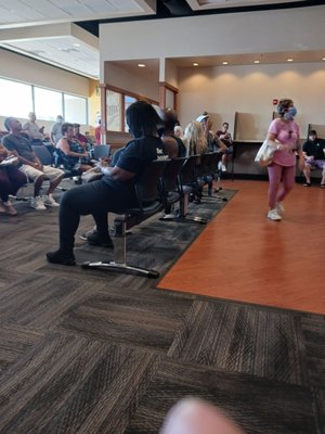 ORANGE COUNTY TAX COLLECTOR SCOTT RANDOLPH - Updated January 2026 - 15 ...