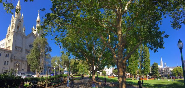 WASHINGTON SQUARE PARK - 479 Photos & 184 Reviews - Parks - Union And ...