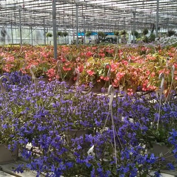 TREE VALLEY GARDEN CENTRE - Updated December 2025 - 33 Photos & 12 ...