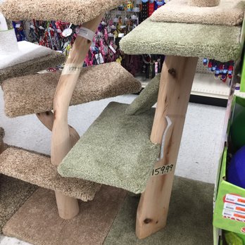 MINI PET MART - Updated October 2025 - 47 Photos & 11 Reviews - 1740 N ...