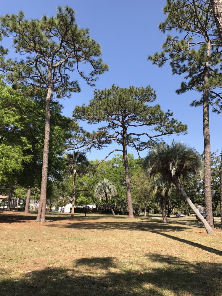 EDGEWOOD PARK #2 - Updated July 2025 - 1335 Edgewood Ave S ...