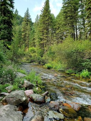 RATTLESNAKE NATIONAL RECREATION AREA AND WILDERNESS - Updated August ...
