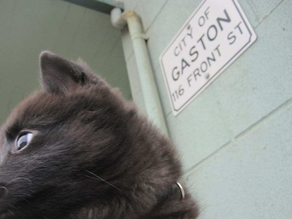 GASTON CITY HALL - 116 Front St, Gaston, Oregon - Public Services ...