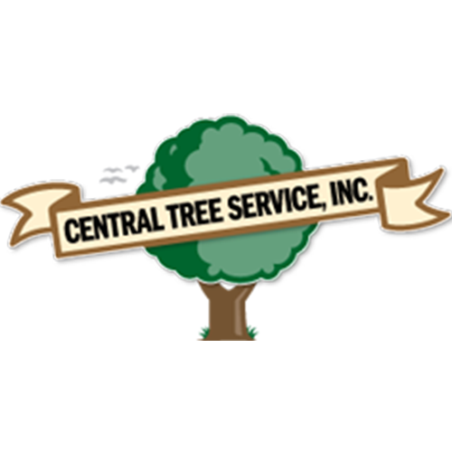 CENTRAL TREE SERVICE - Updated June 2025 - 20 Photos - 139 Maple Ave ...