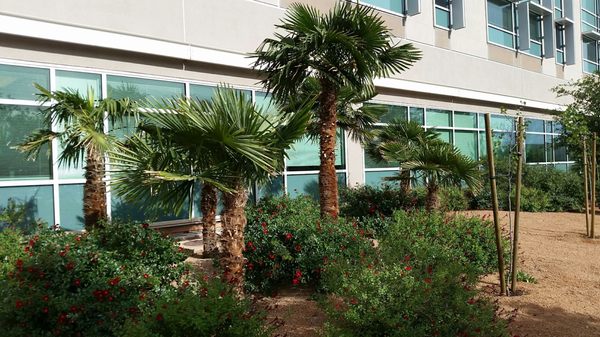 ST GEORGE REGIONAL HOSPITAL - Updated September 2025 - 44 Photos & 64 ...