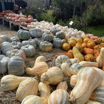 ALLANDALE FARM - Updated October 2025 - 113 Photos & 71 Reviews - 259 ...