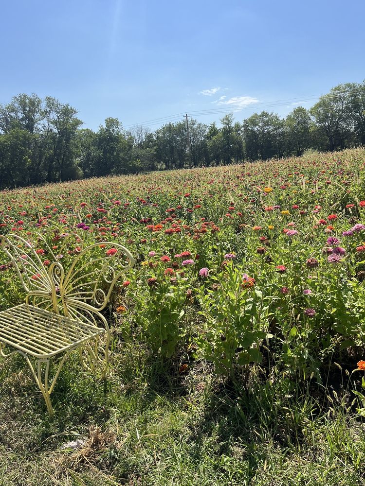 BRAMBLE’S EDGE FARM - Updated July 2025 - 10 Photos - 18176 SW ...