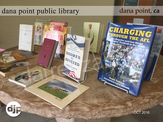 DANA POINT LIBRARY - Updated December 2025 - 36 Photos & 31 Reviews ...