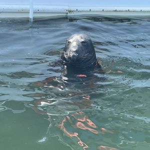 BEACHCOMBER BOAT TOURS - 17 Photos & 21 Reviews - 174 Crowell Rd ...