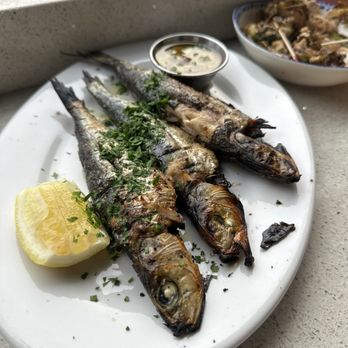 LONELY SIREN - Updated December 2025 - 209 Photos & 83 Reviews - 1501 ...