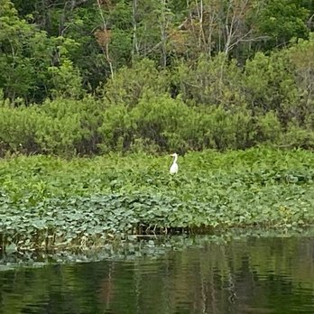PARRAMORE’S CAMPGROUND - Updated December 2025 - 32 Photos - 1675 Camp ...