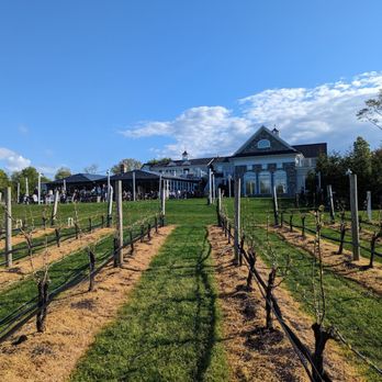 DEL VINO VINEYARDS - Updated July 2024 - 1161 Photos & 445 Reviews - 29 ...