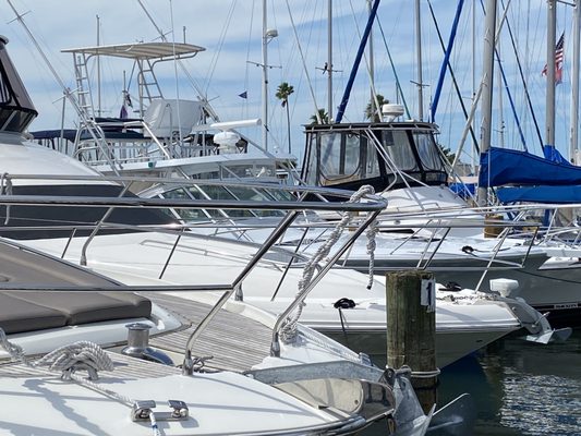 DUNEDIN MARINA - Updated May 2026 - 50 Photos & 10 Reviews - 158-180 ...