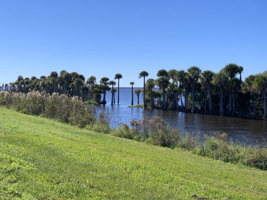 STICK MARSH CHARTERS - Updated July 2025 - 12 Photos - Fellsmere ...