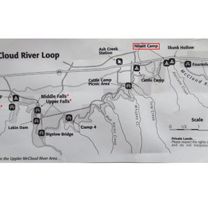 MCCLOUD RIVER - 194 Photos & 40 Reviews - Local Flavor - McCloud, CA