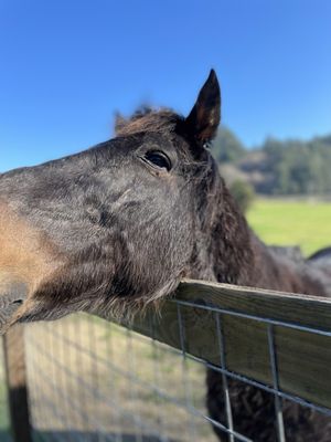 CASINI RANCH FAMILY CAMPGROUND - Updated October 2025 - 609 Photos ...