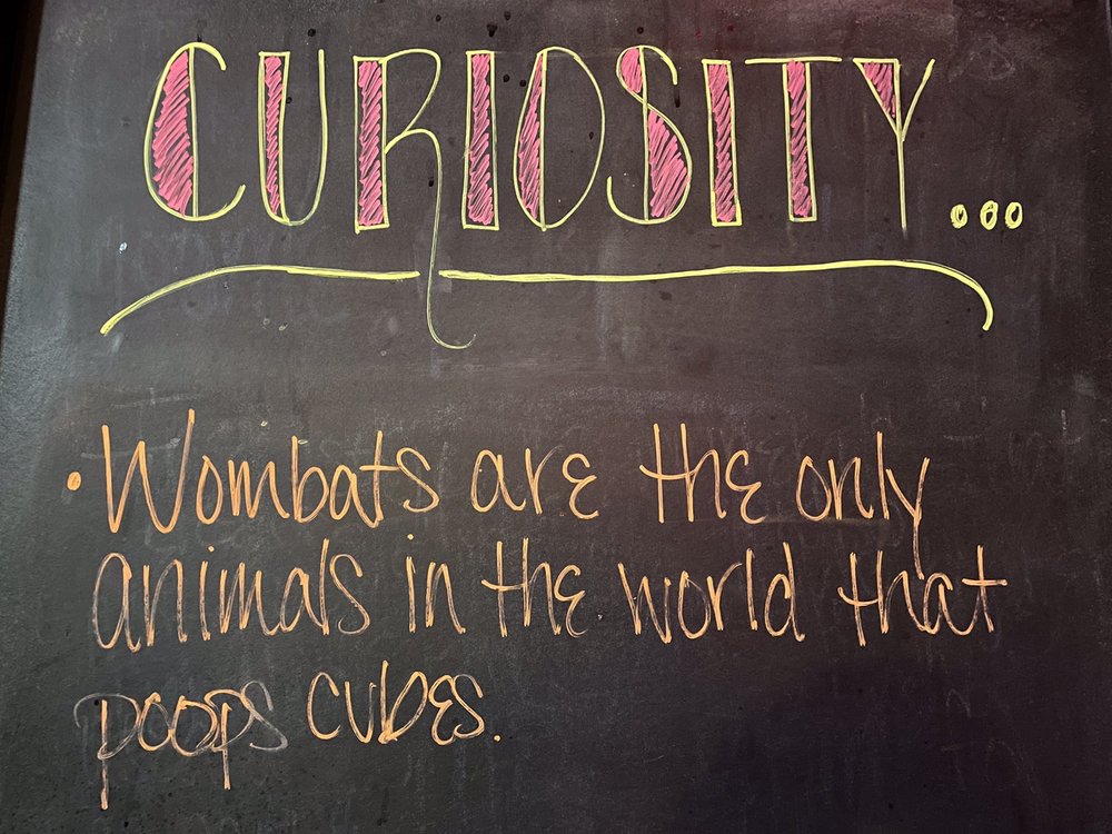 ROWDY BEAVER DEN - Updated November 2024 - 35 Photos & 59 Reviews - 45 ...