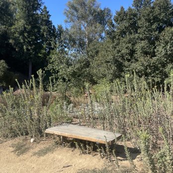 FRYMAN CANYON PARK - Updated October 2025 - 326 Photos & 119 Reviews ...