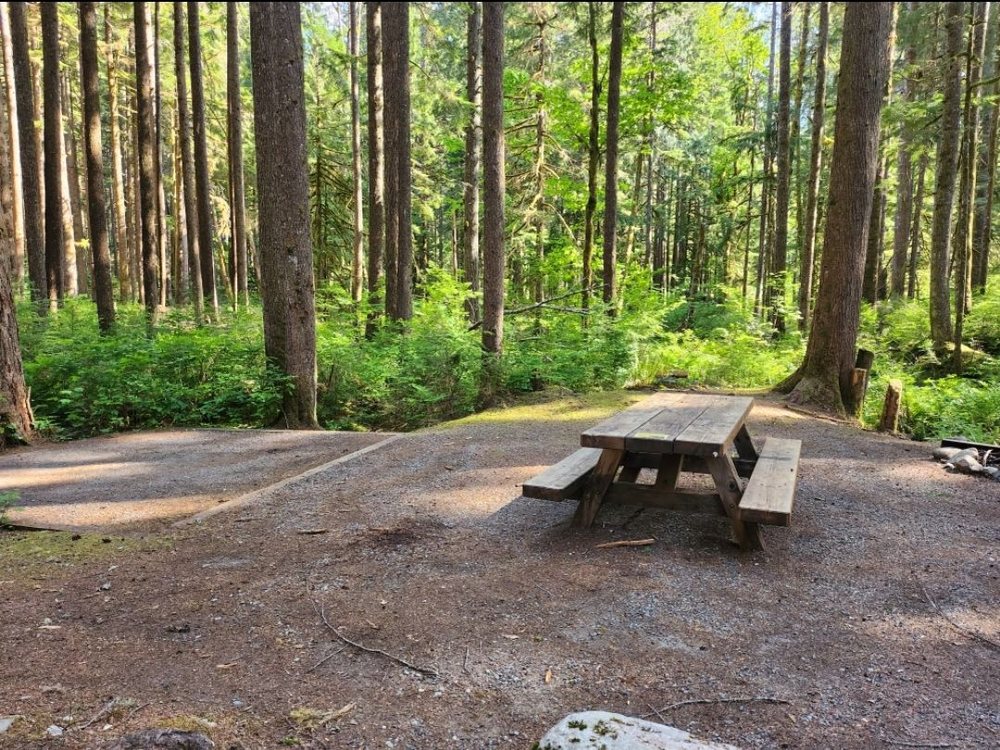 MIDDLE FORK CAMPGROUND - Updated September 2024 - 30 Photos & 11 ...