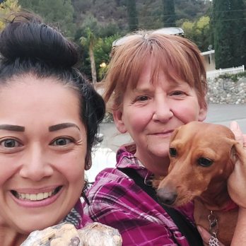 CAMP WILLIAMS RESORT - Updated May 2025 - 183 Photos & 66 Reviews ...