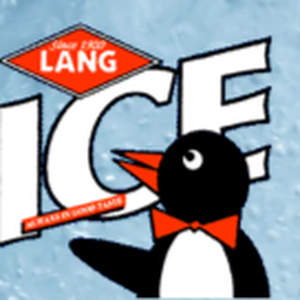 LANG ICE HOUSE - Updated December 2025 - 9502 W Shore Dr, Oak Lawn ...