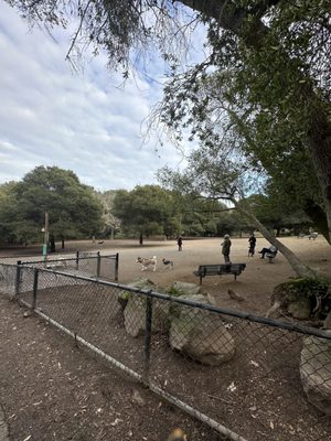 PINOLE DOG PARK - Updated October 2025 - 34 Photos & 53 Reviews - 1263 ...