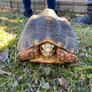 TURQUOISE ACRES RANCH - Updated December 2025 - 64 Photos & 10 Reviews ...