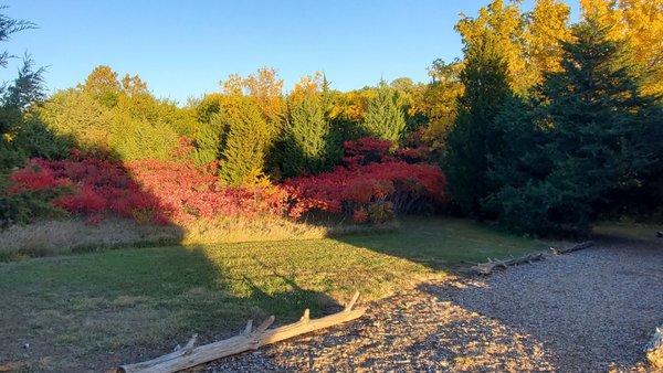 OPPD ARBORETUM - Updated October 2025 - 75 Photos & 14 Reviews - 10600 ...