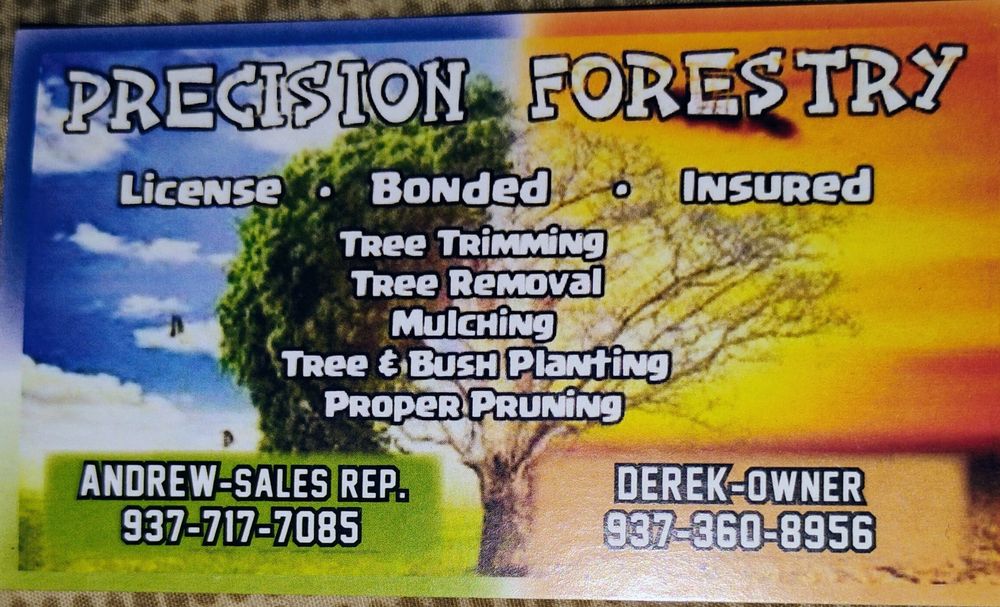 PRECISION FORESTRY - Updated September 2025 - Springfield, Ohio - Tree ...