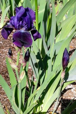 TOP COTTAGE - Updated May 2025 - 25 Photos - Hyde Park, New York ...