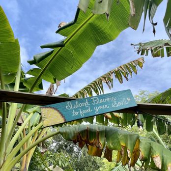 IRIE ISLAND EATS - Updated January 2025 - 197 Photos & 124 Reviews ...