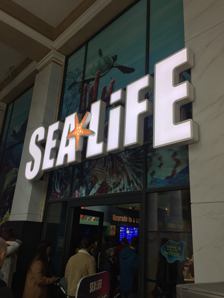 SEA LIFE MANCHESTER - Updated September 2024 - Barton Square, The ...