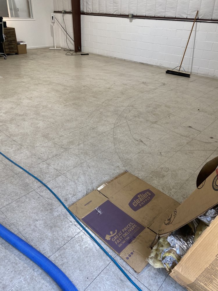 BLUE LIZARD TILE AND CARPET CLEANING - Updated November 2024 - 16 ...