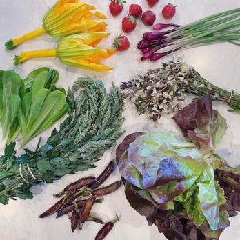 CHINO FARM - Updated July 2025 - 98 Photos & 160 Reviews - 6123 Calzada ...