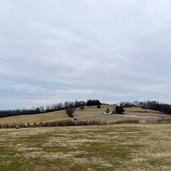 SETTER RIDGE VINEYARDS - Updated December 2025 - 79 Photos & 41 Reviews ...