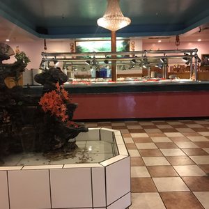 ATAMI JAPANESE EXPRESS - 26 Photos & 22 Reviews - 1675 Simpson Hwy 49 ...